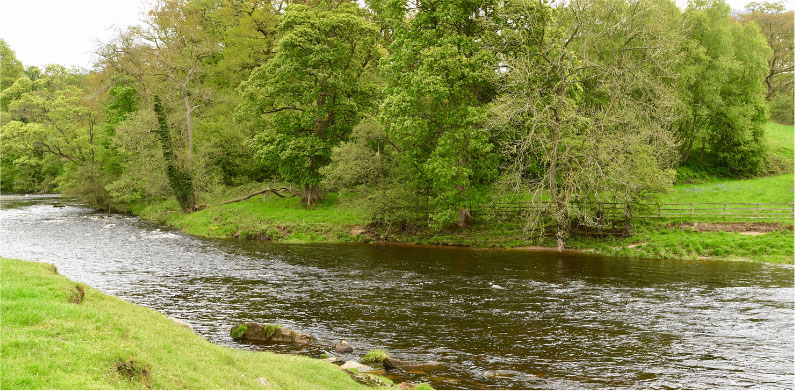 Countryside Stewardship 2023 – apply now - Promar UK